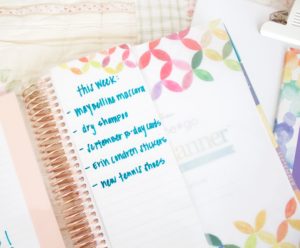 How I Organize my 2017 Erin Condren LifePlanner
