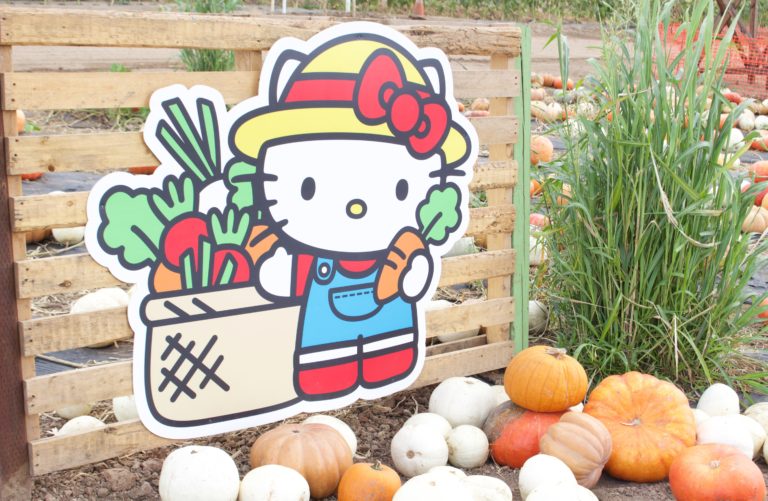 Tanaka Farms Hello Kitty Pumpkin Patch
