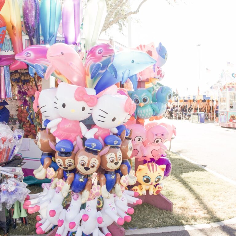 OC Fair Guide 2019 - My Styled Life | OC Influencer