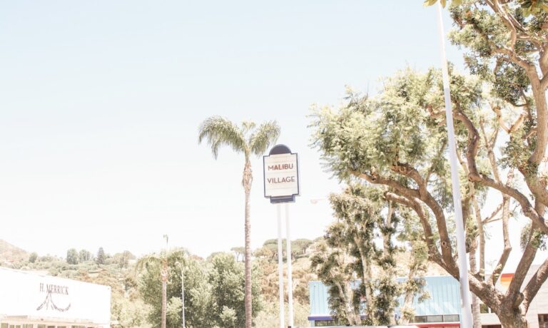 Things to do in Los Angeles: Malibu Country Mart